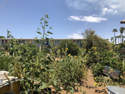 ALICE BIRNEY ELEMENTARY SCHOOL - Updated December 2025 - 26 Photos ...