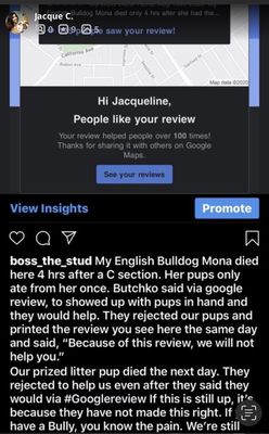 DIRK BUTCHKO PRO VET - Updated June 2025 - 164 Photos & 357 Reviews ...