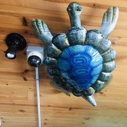 TURTLE SHACK - Updated August 2025 - 375 Photos & 503 Reviews - 101 ...