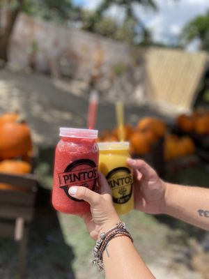 PINTO’S FARM - 428 Photos & 146 Reviews - 14890 SW 216th St, Miami ...