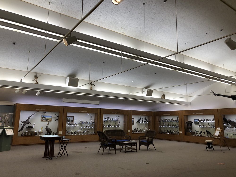 PACIFIC GROVE MUSEUM OF NATURAL HISTORY - 267 Photos & 62 Reviews ...