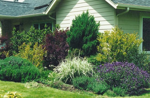 EARTHWORKS LANDSCAPE AND DESIGN - Updated November 2025 - 14 Photos ...