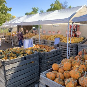 MILBERGER FARMS - Updated October 2025 - 28 Photos & 21 Reviews - 28570 ...