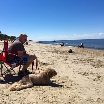 HIGBEE BEACH WILDLIFE MANAGEMENT AREA - Updated May 2024 - 83 Photos ...