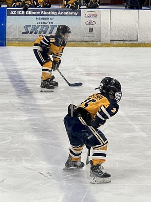 ICE DEN CHANDLER - Updated September 2024 - 50 Photos & 58 Reviews ...