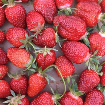 CAVANNA’S FARM - Updated October 2025 - 44 Photos & 18 Reviews - 80 ...