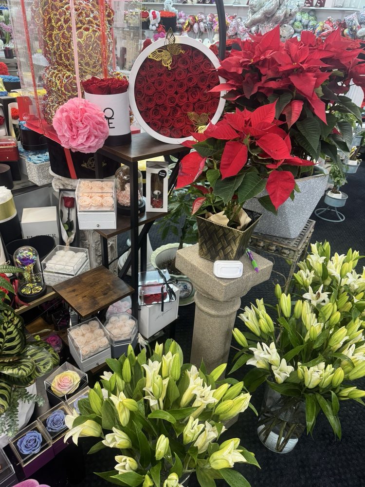 THE PLANT LADY WHOLESALE FLORAL - Updated October 2025 - 3975 Birch St ...