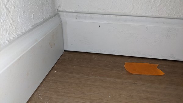 EXPRESS FLOORING - Updated July 2025 - 377 Photos & 298 Reviews ...