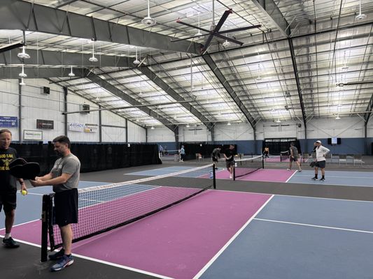 WOLVERINE PICKLEBALL - Updated May 2026 - 28 Photos - 235 Metty Dr, Ann ...