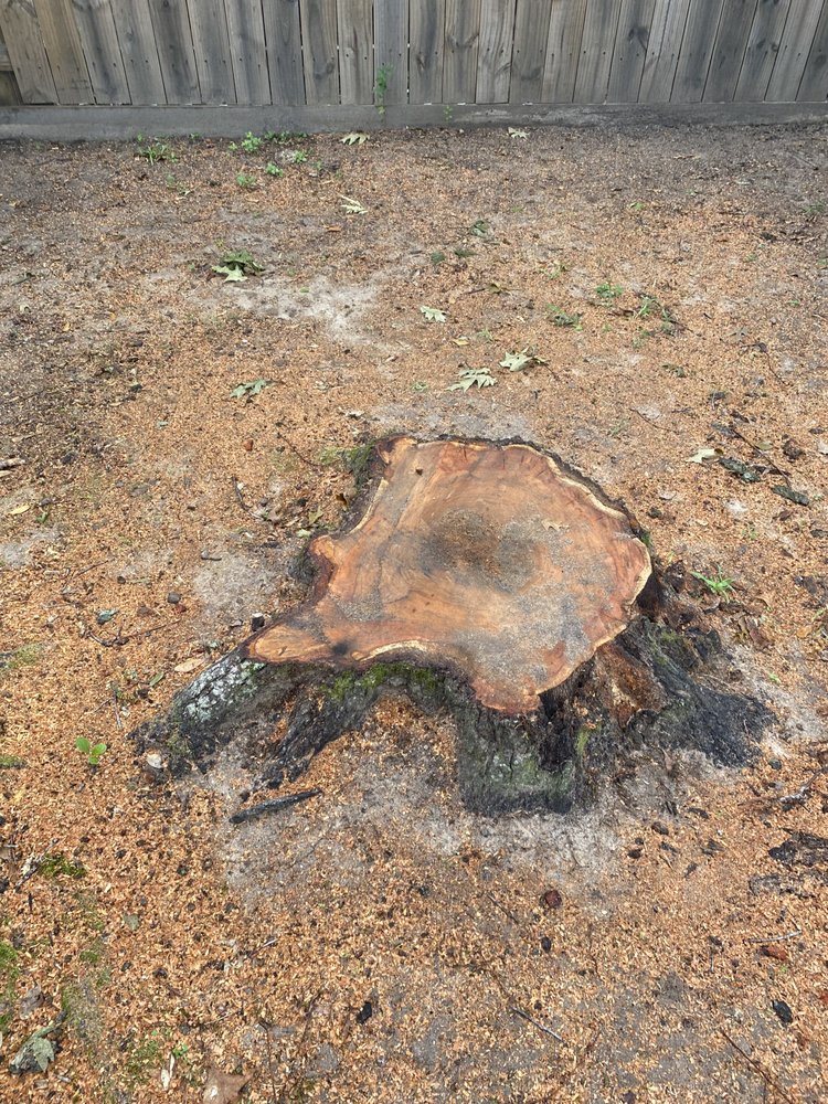 MARTINEZ PROFESSIONAL TREES - Updated April 2025 - Request a Quote - 11 ...