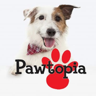 PAWTOPIA - 17 Photos & 102 Reviews - Pet Training - La Jolla, CA ...