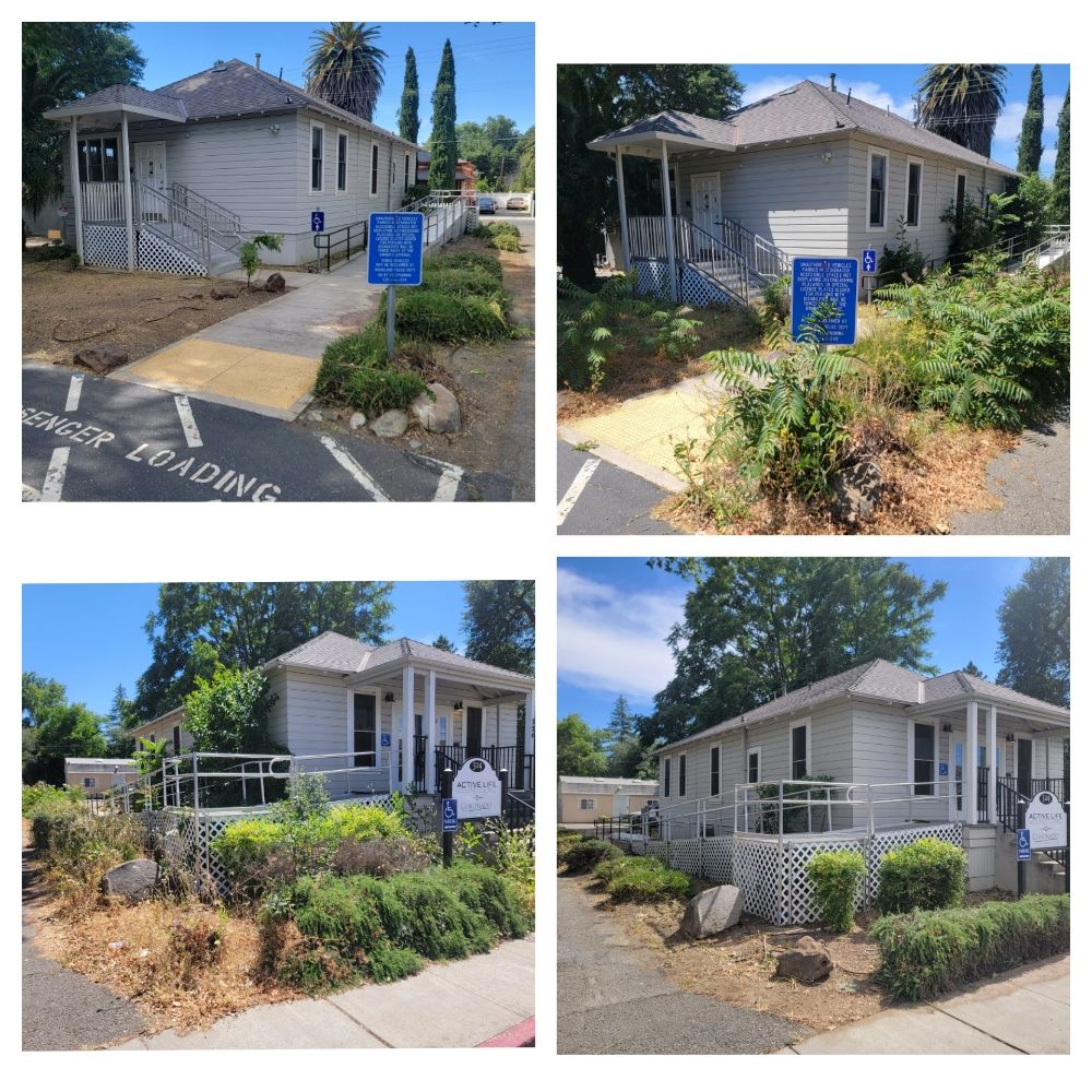 J CASTRO LANDSCAPING - Updated May 2026 - 32 Photos - Woodland ...