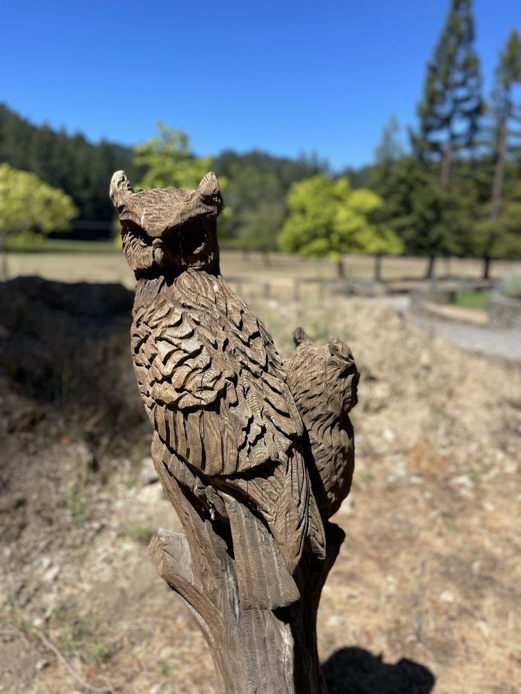 DRIVE-THRU TREE - Updated December 2025 - 587 Photos & 201 Reviews ...