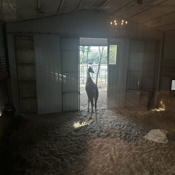 OAK MEADOW RANCH FEATURING THE WHITEHORSE STEAKHOUSE - Updated December ...