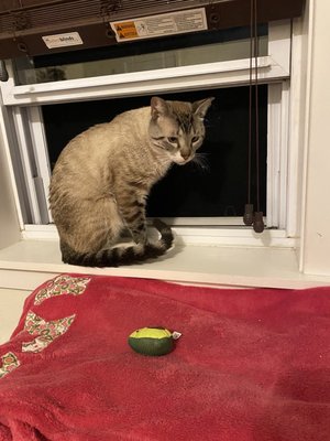 RYAN VETERINARY HOSPITAL - Updated October 2025 - 17 Photos & 198 ...