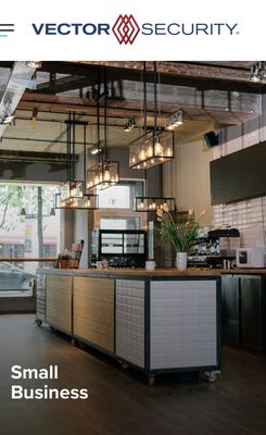 VECTOR SECURITY - Updated August 2025 - 20 Photos & 12 Reviews - 8150 ...