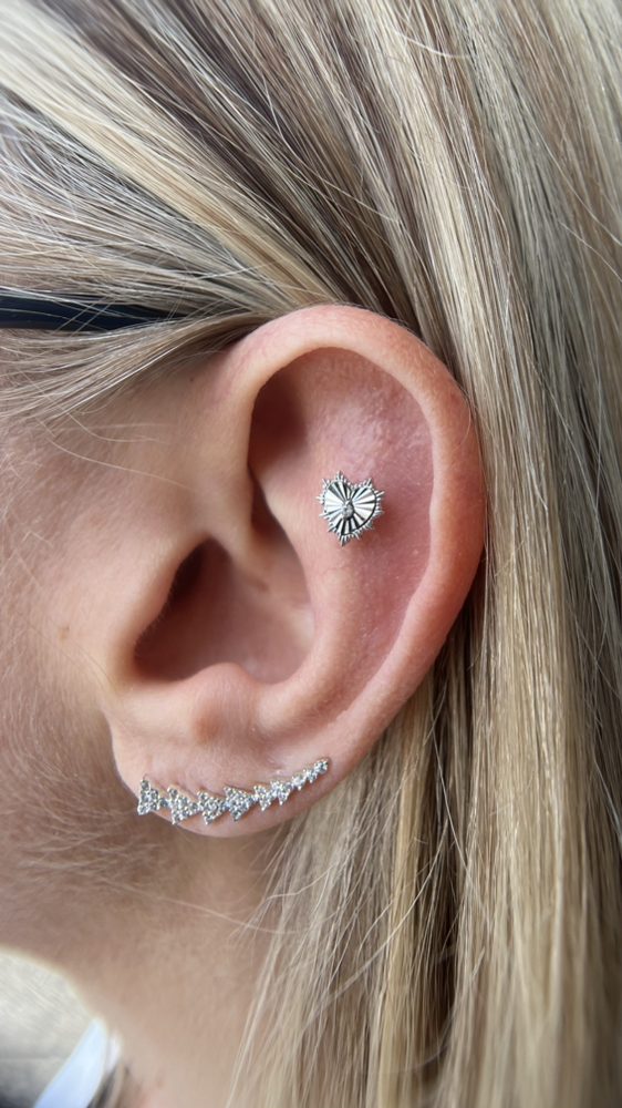 BLACK MOON PIERCING - EDISON - 45 Photos - 174 Lafayette Ave, Edison ...