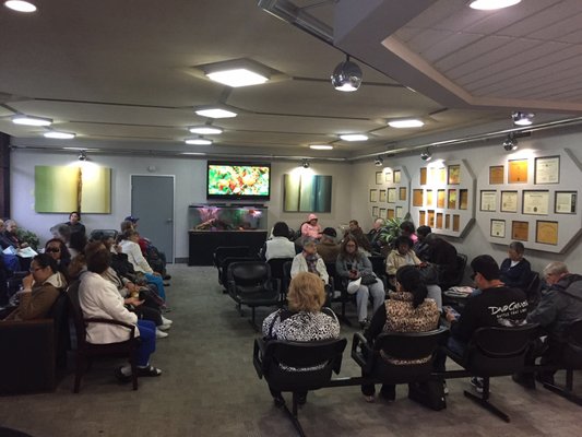 PACIFIC EYE INSTITUTE - 21 Photos & 121 Reviews - 555 N 13th Ave ...