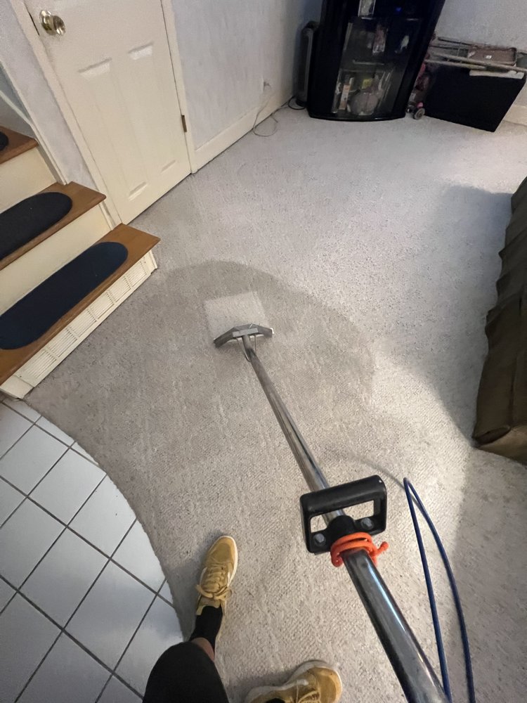 SWIFTY STEAM CLEANING - Updated December 2024 - Request a Quote - 11 ...