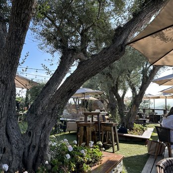 CIELO FARMS - Updated May 2024 - 320 Photos & 133 Reviews - 31424 ...