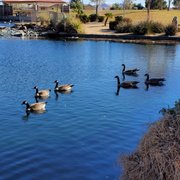 ALIANTE NATURE DISCOVERY PARK - 345 Photos & 120 Reviews - 2627 Nature ...