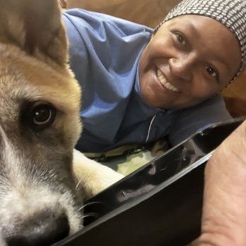 MAIN STREET VETERINARY HOSPITAL - Updated December 2025 - 18 Photos ...