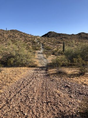 DREAMY DRAW RECREATION AREA - 204 Photos & 63 Reviews - 2421 E Northern ...