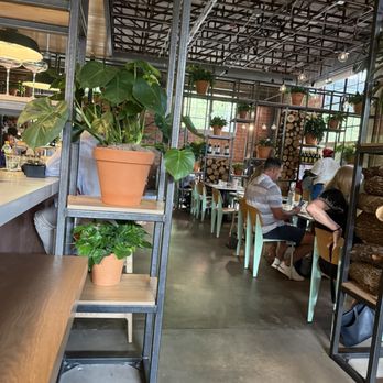 FIFE AND FARRO - Updated July 2025 - 442 Photos & 191 Reviews - 221 ...