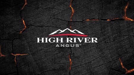 BELLEVIEW MEATS AND SEAFOOD - Updated October 2025 - 10251 US Hwy 441 ...