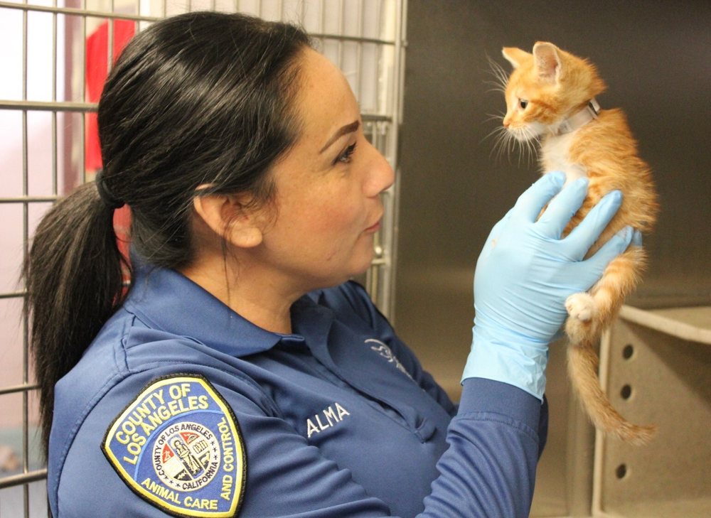 LOS ANGELES COUNTY ANIMAL CARE AND CONTROL - Updated November 2025 ...