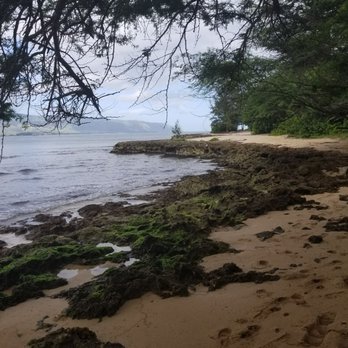 PUAENA POINT BEACH - Updated December 2025 - 66 Photos & 11 Reviews ...