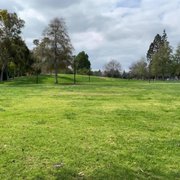 CSUN POND - 331 Photos & 86 Reviews - 18111 Nordhoff St, Los Angeles ...