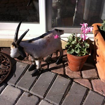 ALDEN LANE NURSERY - Updated April 2025 - 416 Photos & 227 Reviews ...