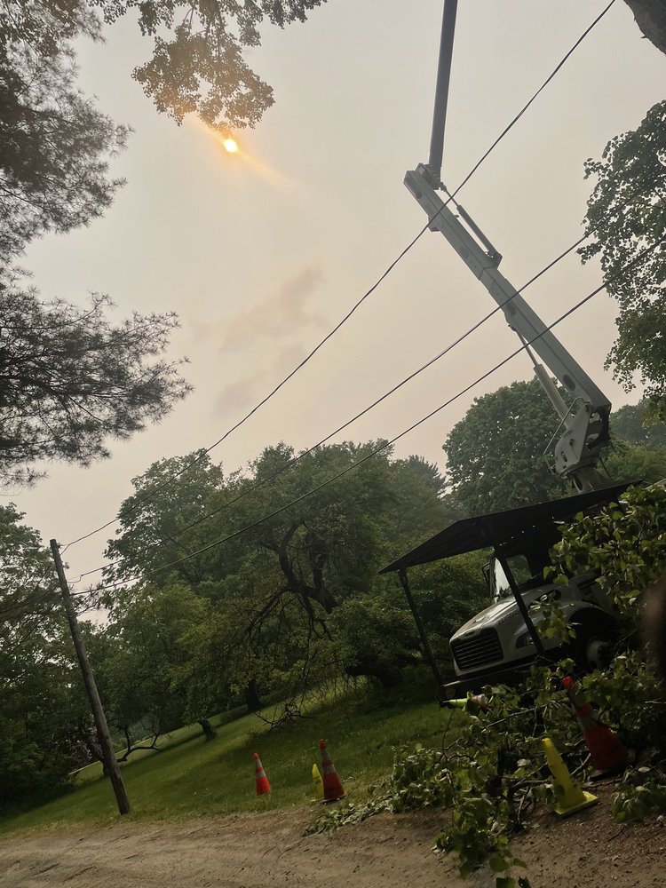 LEWIS TREE SERVICE - Updated December 2025 - 21 Photos & 31 Reviews ...