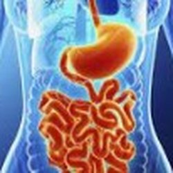 ROBERT L MELLMAN, MD - 1000 NW 9th Ct, Boca Raton, Florida ...