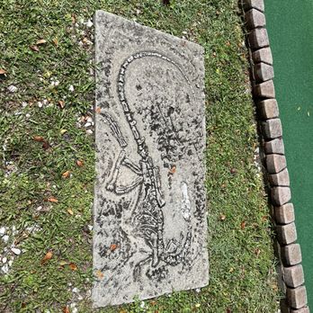 ALLGOLF AT CB SMITH - Updated December 2025 - 101 Photos & 91 Reviews - 950 N Flamingo Rd ...