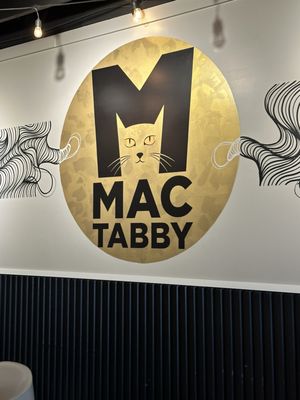 MAC TABBY CAT CAFE - Updated December 2025 - 28 Photos - 103 S Main ...