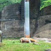 GREENSBORO SCIENCE CENTER - 987 Photos & 165 Reviews - 4301 Lawndale Dr ...