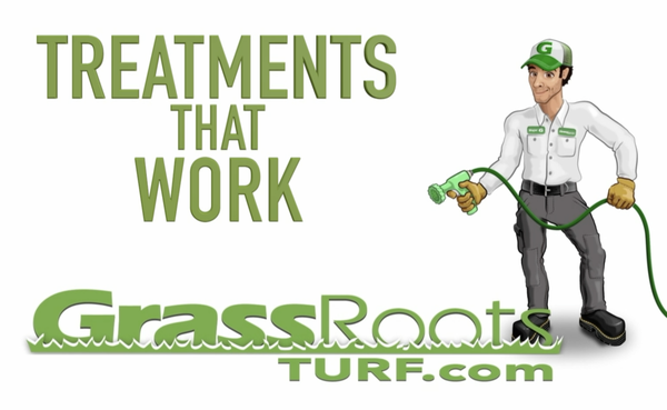 GRASSROOTS TURF - Updated October 2025 - 67 Photos & 33 Reviews - 963 N ...