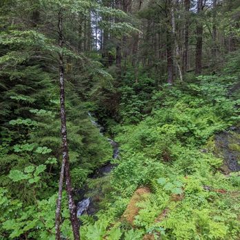 GLACIER GARDENS RAINFOREST ADVENTURE - Updated January 2026 - 299 ...