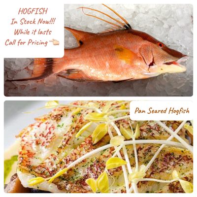 NEPTUNE FISH MARKET - Updated May 2025 - 31 Photos & 26 Reviews - 531 N ...