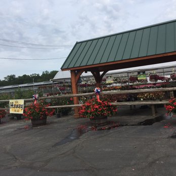 SECOR FARMS - Updated July 2025 - 238 Photos & 80 Reviews - 168 Airmont ...