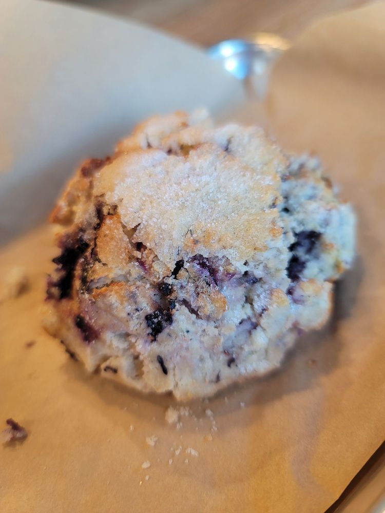 LITTLE FINCH - Updated January 2026 - 266 Photos & 129 Reviews - 1490 ...