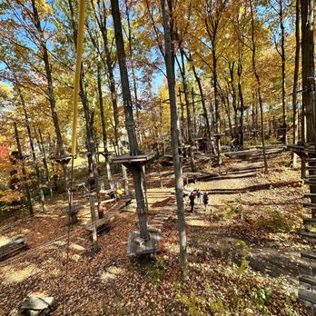 TREERUNNER GRAND RAPIDS ADVENTURE PARK - Updated October 2025 - 78 ...