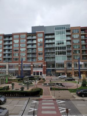 ROOSEVELT COLLECTION SHOPS - Updated November 2024 - 79 Photos & 42 ...