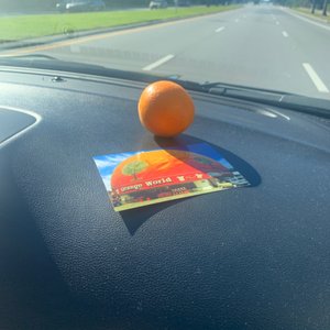 FLORIDA ORANGE WORLD - 108 Photos & 71 Reviews - 5395 W Irlo Bronson ...