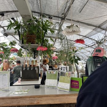THE GREENHOUSE BAR - Updated May 2024 - 328 Photos & 284 Reviews - 2211 ...