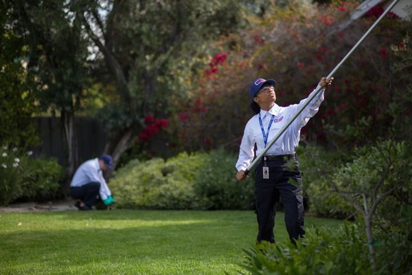 CLARK PEST CONTROL - Updated June 2025 - 52 Photos & 168 Reviews ...