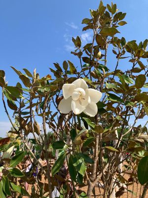 UNITY PARK - Updated January 2026 - 78 Photos & 16 Reviews - 320 S ...