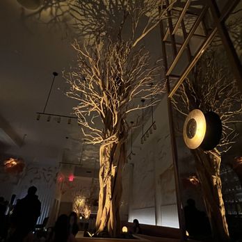 REYNA NEW YORK - Updated July 2024 - 373 Photos & 133 Reviews - 11 E ...